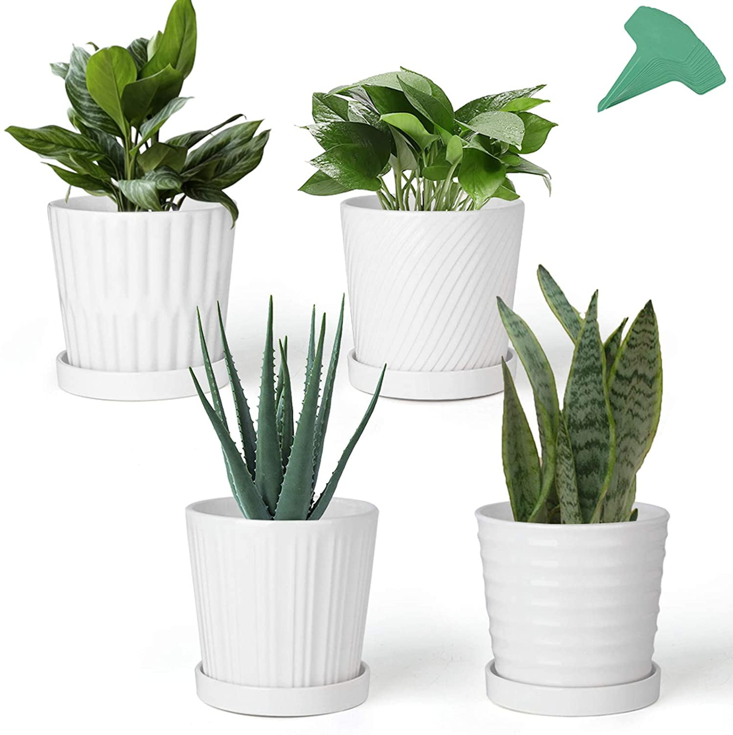 4 Packs 6 Inches White Ceramic Flower Pots Planters with 15 Pcs Plant ...