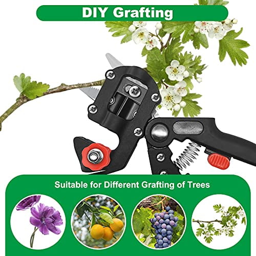 Grafting Kit