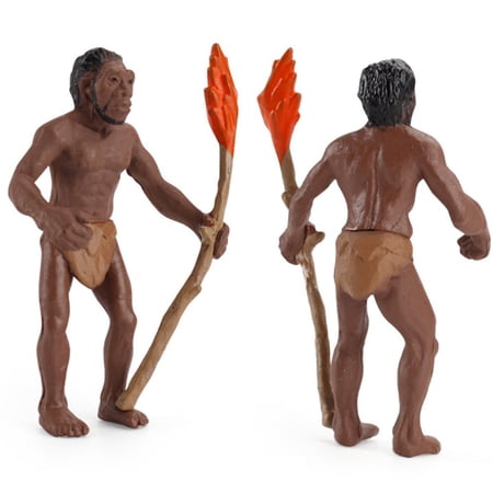 Hottest 5pcs/set Human Evolutionary History Displays Figures Models ...