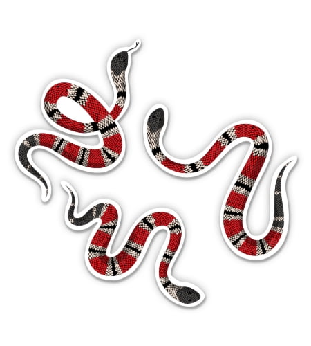 Red Banded Snakes - 3" each Vinyl Stickers - For Car Laptop I-Pad Phone ...