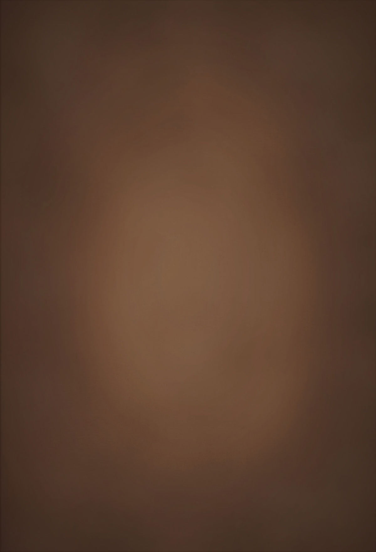 Kate 6.5x6.5ft Backdrops Brown Backdrop Headshot Backdrop Microfiber ...