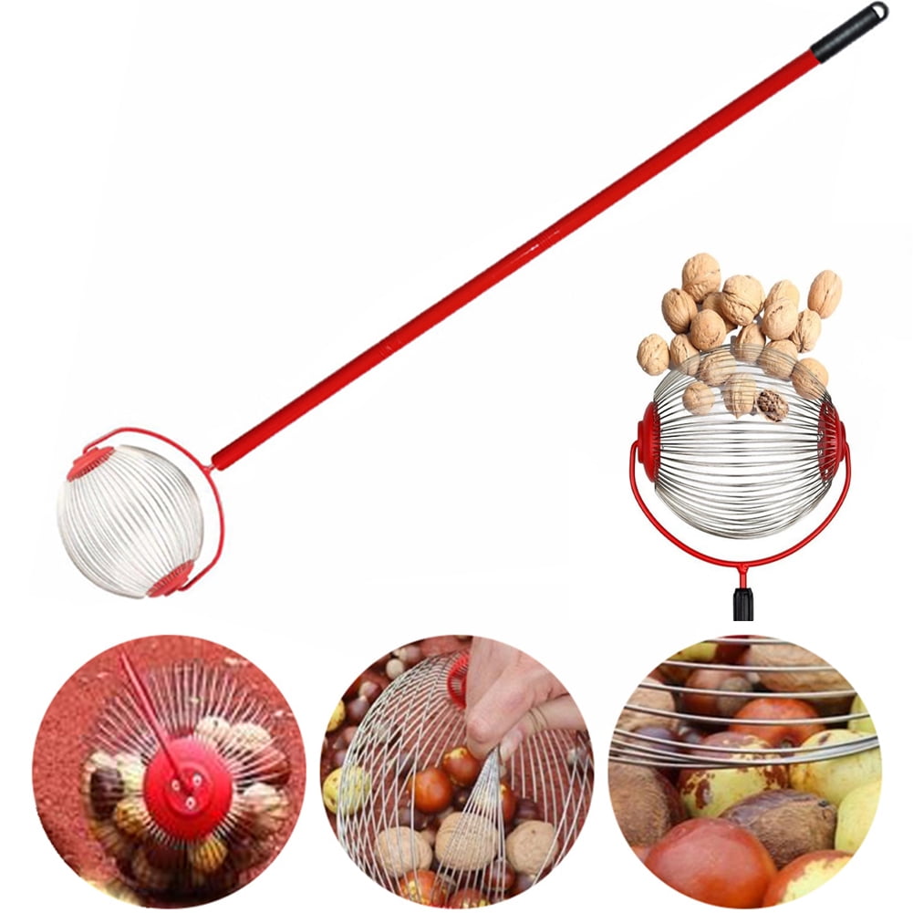 Fruit Picker Tool - Large Nut Gatherer Rolling Nut Harvester Ball ...