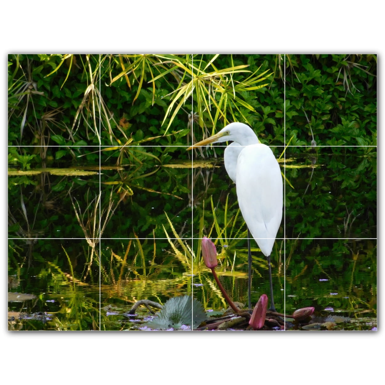 Picture-Tiles.com: Bird Ceramic Tile Wall Mural WAL500152-43M. 24"W x ...