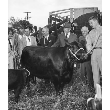 President Eisenhower Receiving An Aberdeen Angus Cow And Calf From The ...