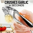 MY Premium Garlic Press Set - Rust Proof & Dishwasher Safe Professional ...