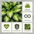 Colorful Hosta Garden Stake – Premium Ornamental Yard Decoration ...