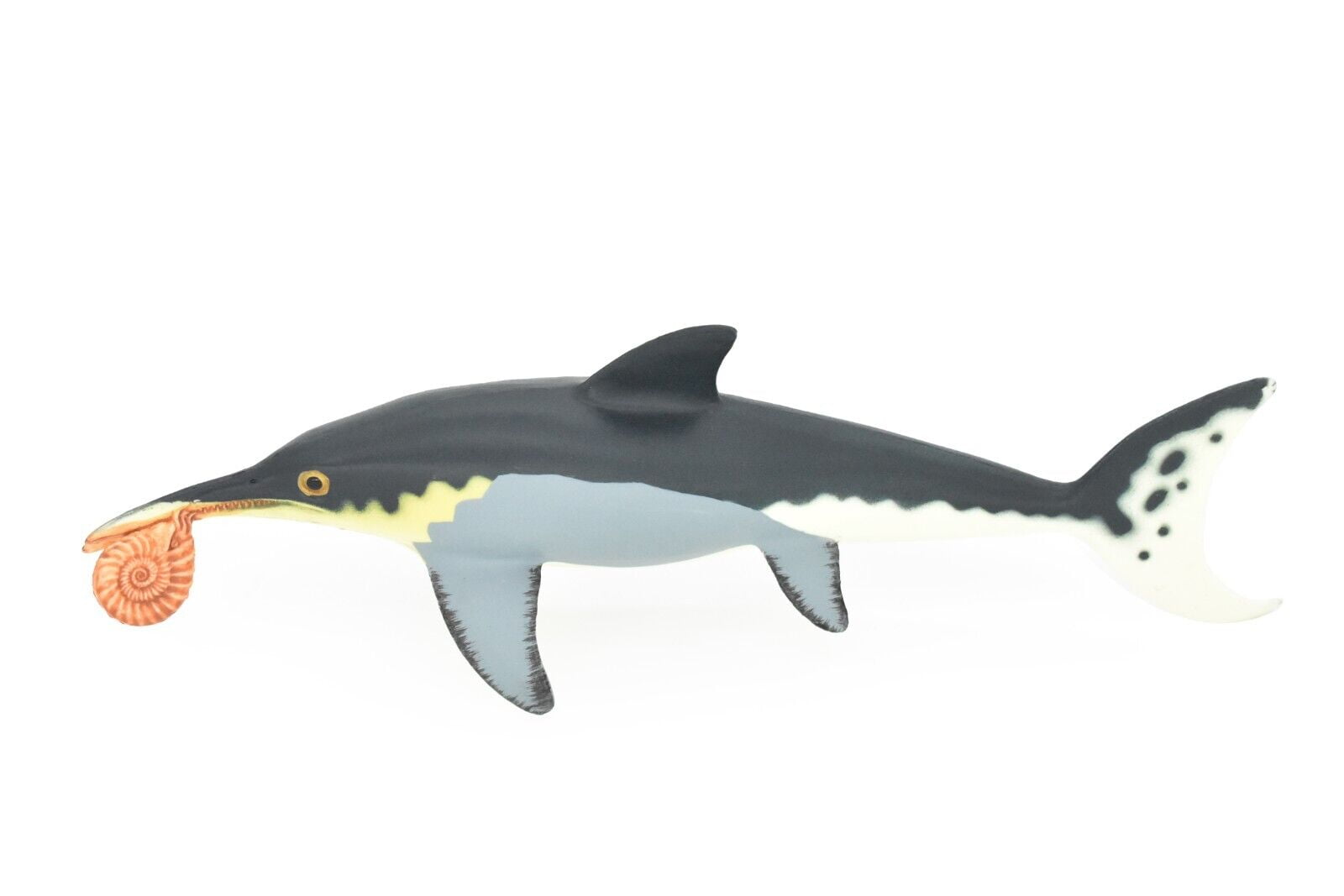 Helicoprion, Toy, Fish, Shark, Prehistoric, Very Realistic Rubber ...
