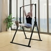 Triangular Pull Up Station, Pull Up Bar for Home Gym Strength Training ...