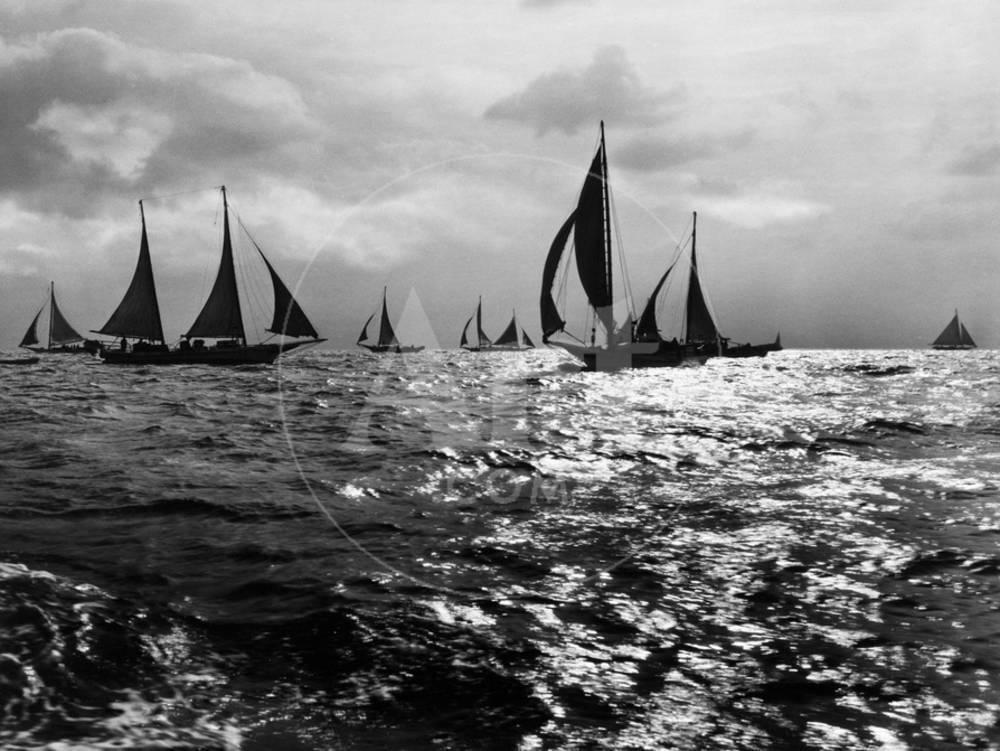 Skipjacks on the Chesapeake Bay Near Sharps Island, Scenic ...