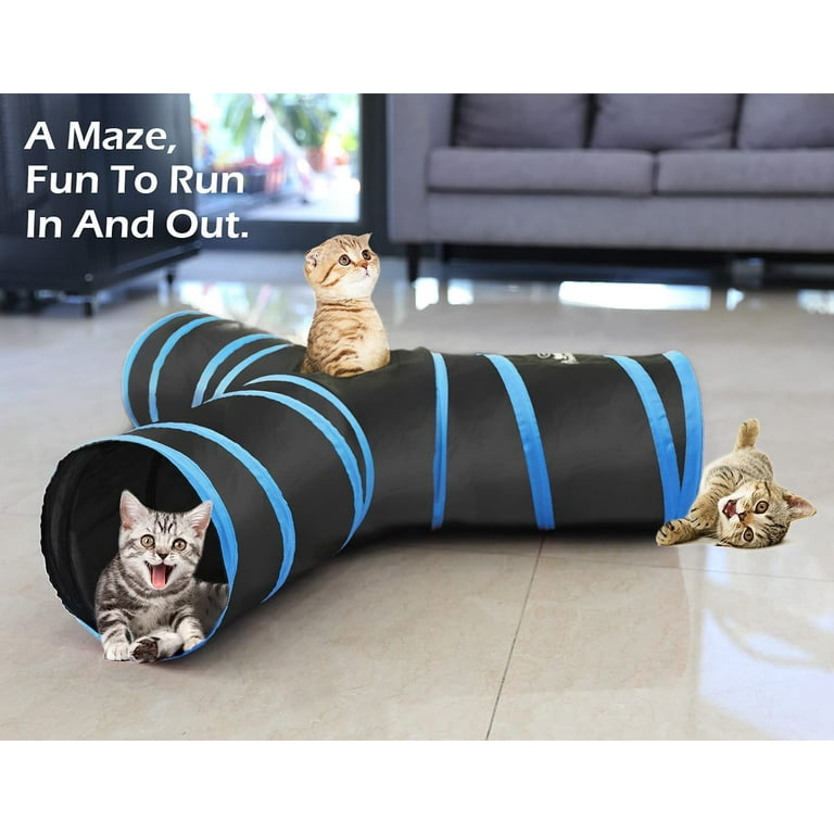 Cat Fun Run Tunnel