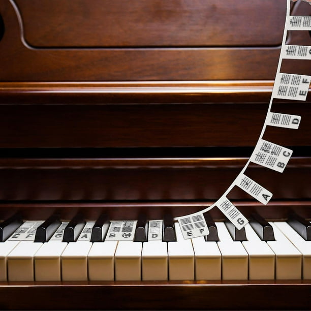 Piano Keyboard Overlay Piano Notes Guide 88 Keys Detachable For ...