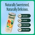 Zevia Zero Sugar Black Tea Peach, Sweet Soft Drink, 12 Fl Oz Groceries ...