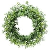 Proflora Natural Grapevine Wreath, 18” 2.2in - Walmart.com