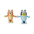 Bluey Plush Bouquet with 16 Sticker Treats and Mini Dome Tumbler with ...