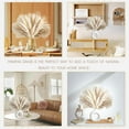 70PCS Natural Dried Pampas Grass Boho Home Decor Bouquet Phragmites ...