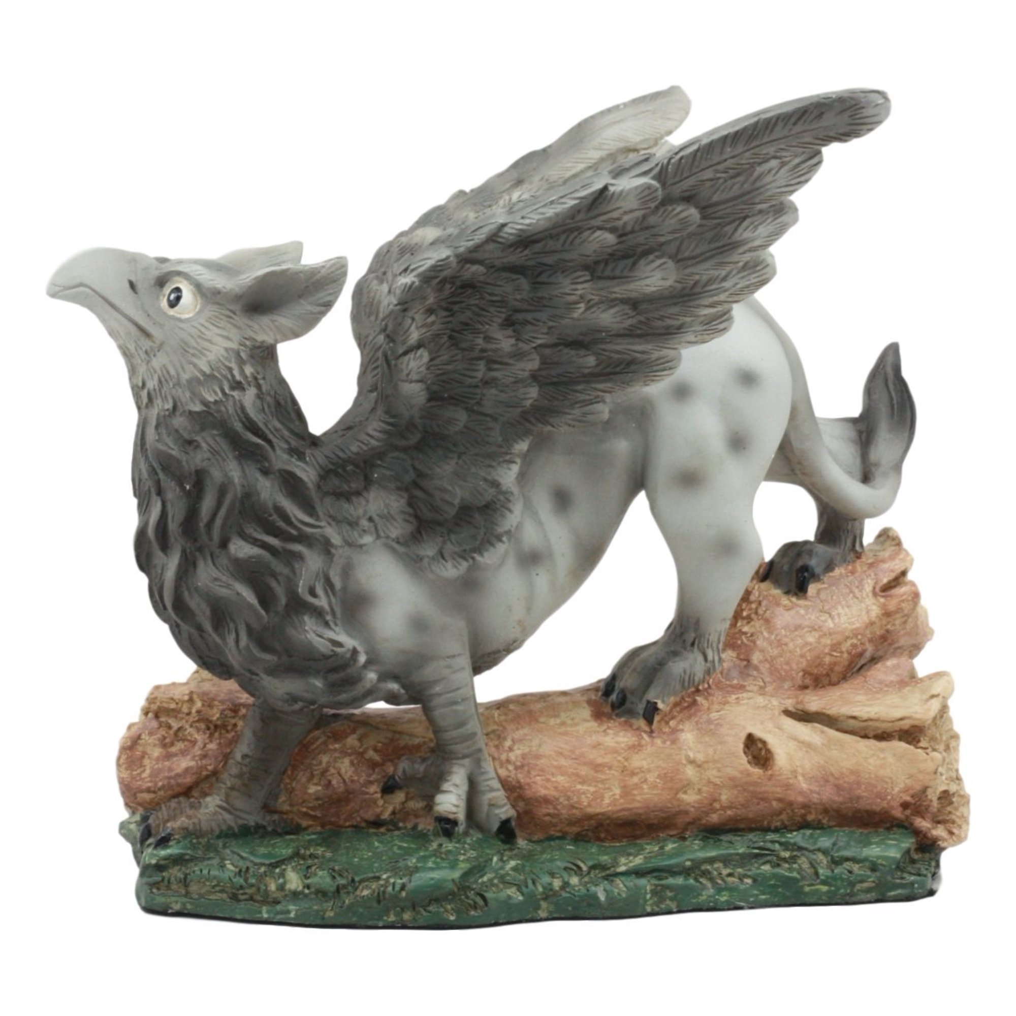 Baby Griffon