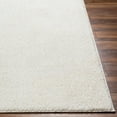 Hauteloom Judy Living Room, Bedroom Area Rug Ivory High Pile 2'3" x 3'9 ...
