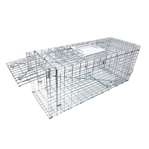 Animal Traps