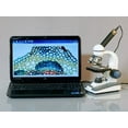 AmScope 40X-1000X LED Student Microscope - All-Metal, Optical Glass ...