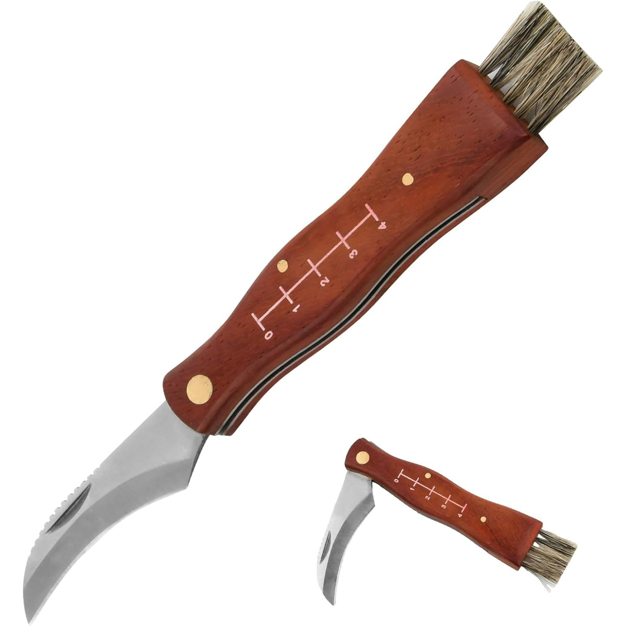 Click here for Salafire Mushroom Knife  Folding Mushroom Knife Wi... prices