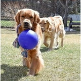 Jolly Pets Romp-n-Roll 8 inch Blue Rubber Ball with Rope for Dogs ...