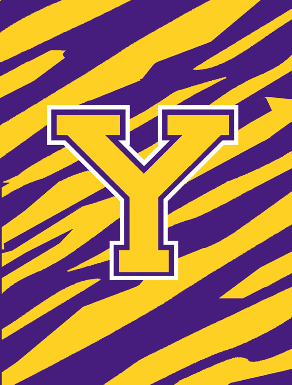 Monogram - Tiger Stripe - Purple Gold Initial Y Monogram Initial Flag ...