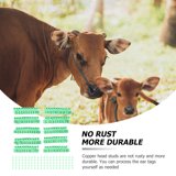 SOPOTUTU 100Pcs Tpu Green Square Animal Ear Tags for Cattle ...