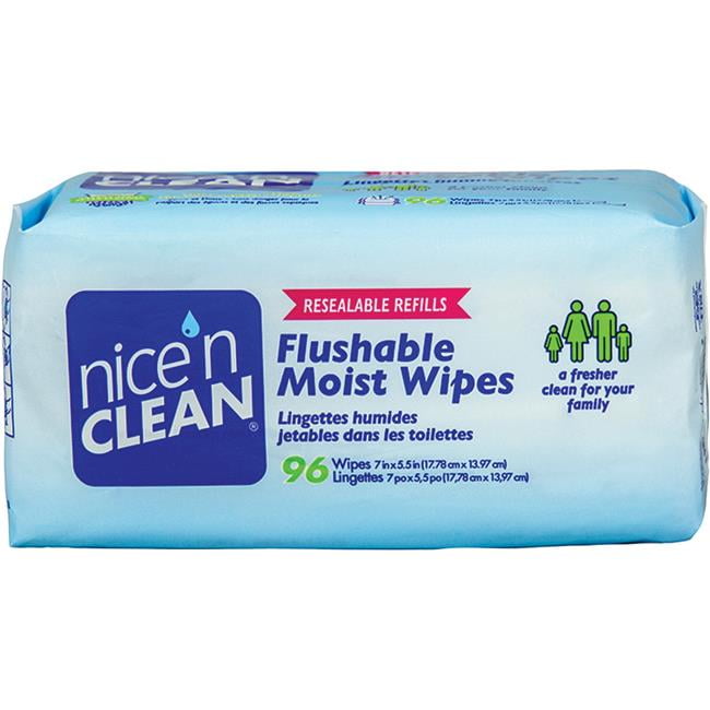 Nice Pak Products 1498259 Nice N Clean Moist Wipe, 7 x 5.5 in. - Pack ...