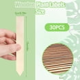30Pcs Wooden Plant Labels, Outdoor Indoor Markers and Name Tags for ...