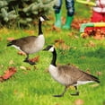 Duck Garden Ornaments, Outdoor Duck Garden Statues Yard Art Acrylic ...