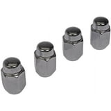 Dorman Front Optional Wheel Nut, Chrome Acorn 2-PC M12-1.50 HEX 1316 IN ...