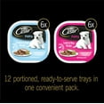 CESAR Wet Dog Food Puppy Chicken & Beef and Lamb & Rice Variety Pack ...