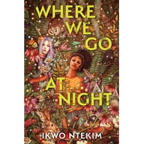 Where We Go at Night, (Hardcover) - Walmart.com