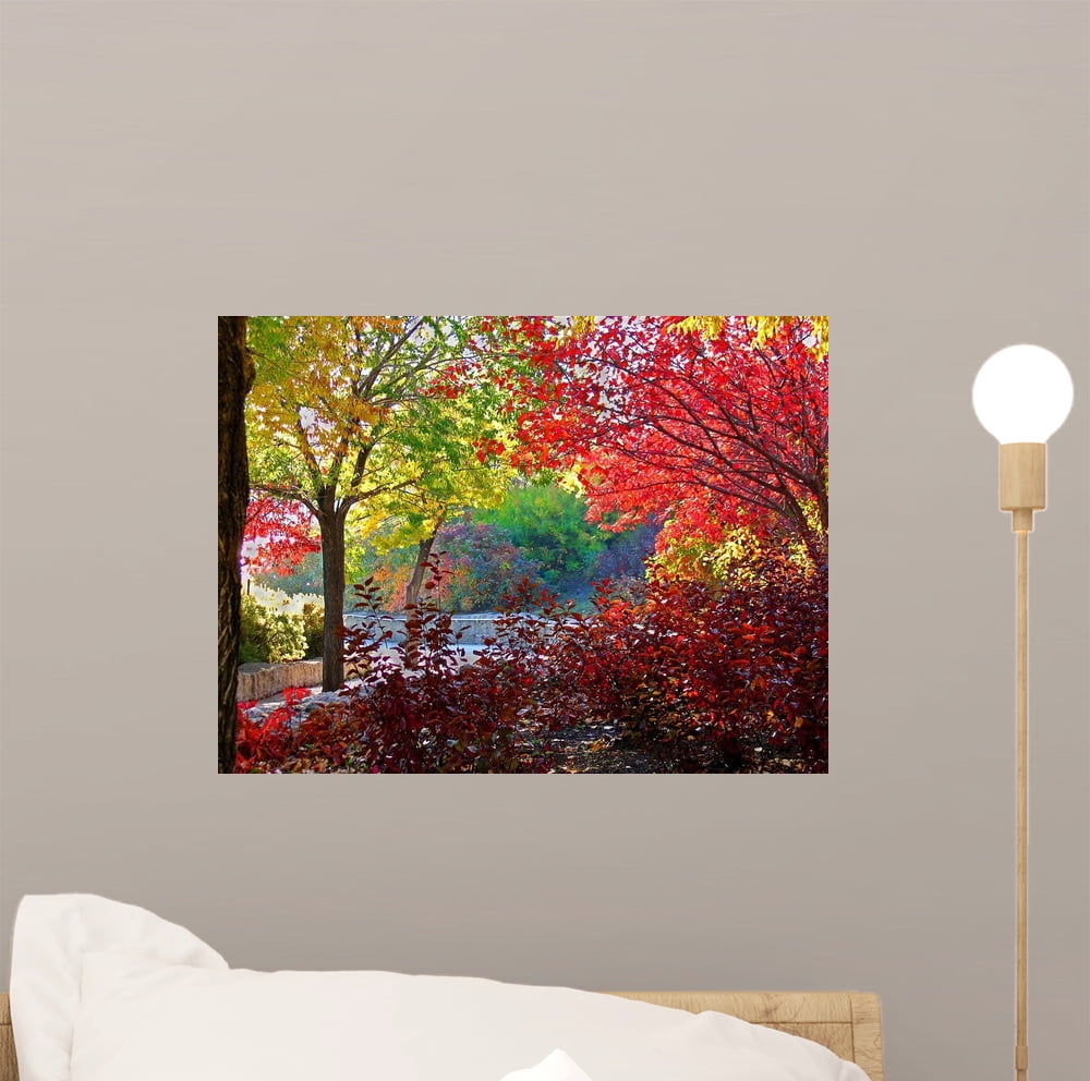 Backlit Fall Wall Mural by Wallmonkeys Peel and Stick Graphic (12 in W ...