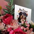 3drose, Bernese Mountain Dog Thanksgiving Turkey Humor with Fall Leaves ...