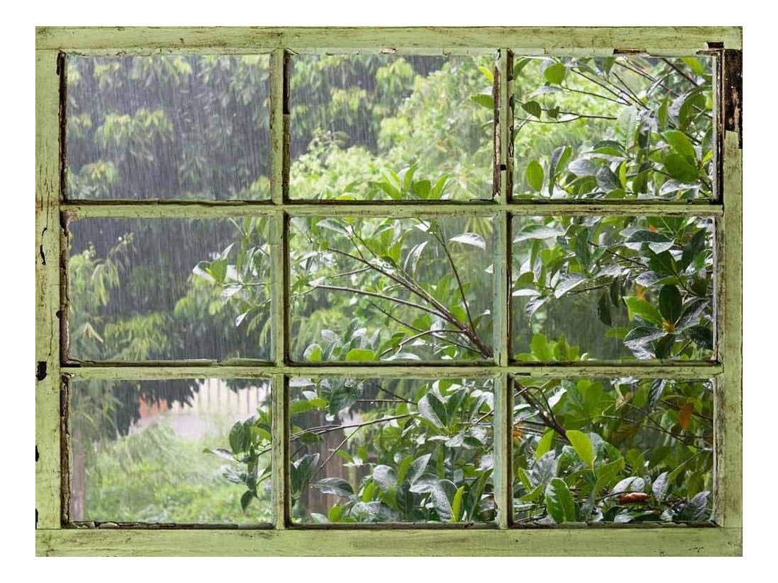 Window View Wall Mural - It's Raining Outside - Vintage Style Wall ...