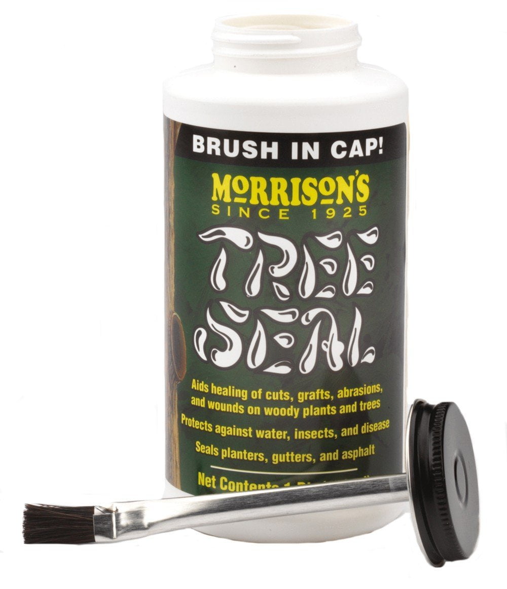 Lilly Miller 09101001 1 Pint Morrison's Tree Seal - Walmart.com