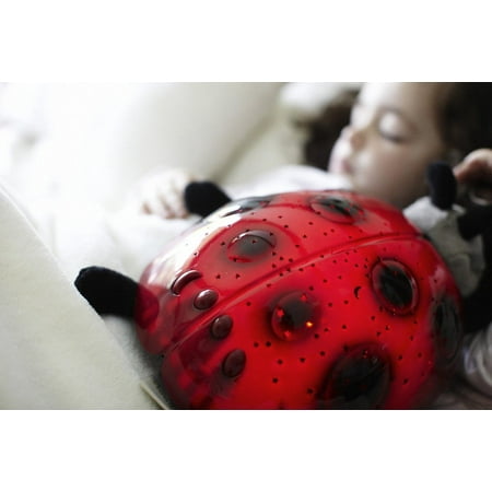 Cloud B : Twilight LadyBug | Walmart Canada