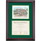 University of South Florida 8.5" x 11" Scholar Diploma Frame - Walmart.com