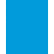 Pacon Poster Board Class Pack, 22" x 28", Assorted Colors, 50 Sheets ...