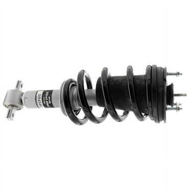 Front Driver or Passenger Side Twin-Tube Complete Strut Assembly for ...