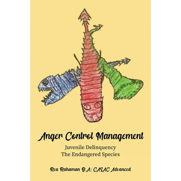 Anger Management Essentials: Teen Edition: An Aggression Management ...