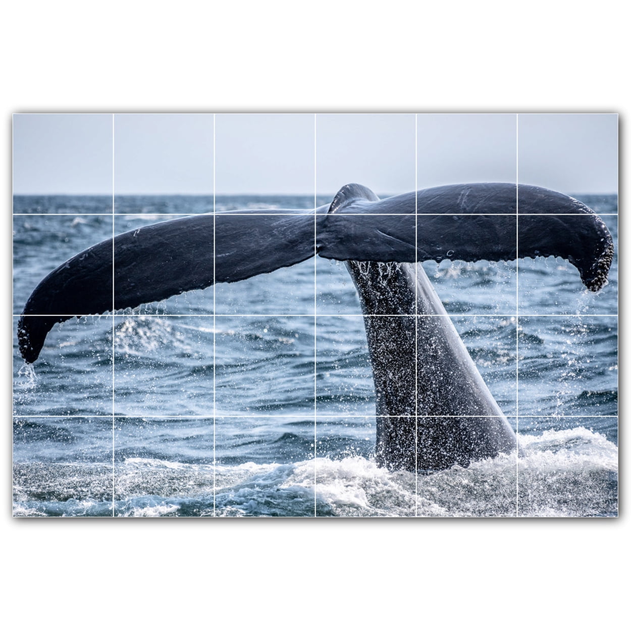 Picture-Tiles.com: Whale Ceramic Tile Wall Mural WAL501198-64L. 48"W x ...