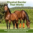 Anti-Fly Horse Leg Mesh Protectors - Set of 4 Breathable Summer Boots ...