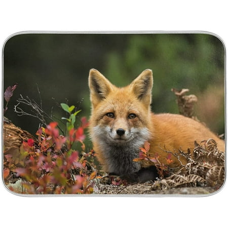 Red Fox Vulpes Dish Drying Mats for Kitchen Counter Fall Forest Animal ...