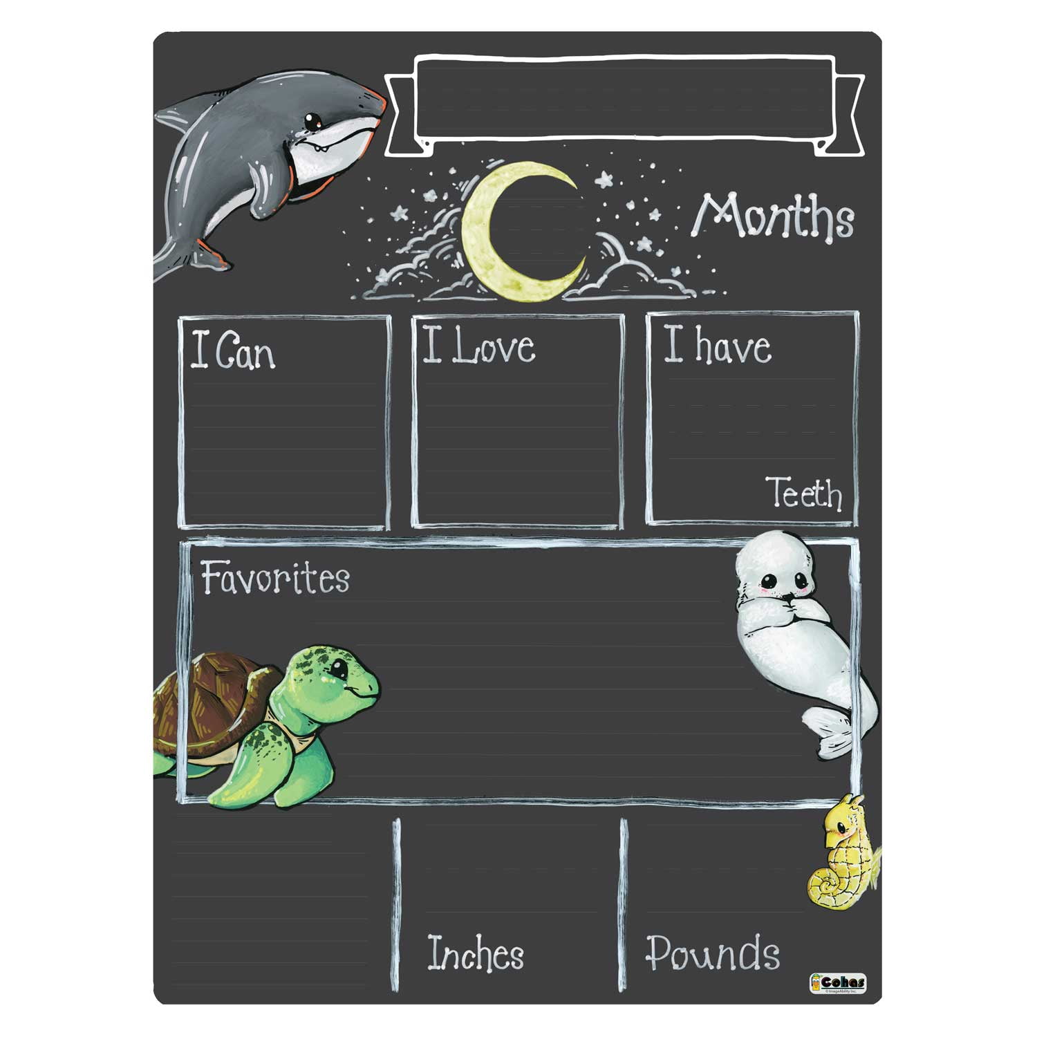 Cohas Ocean Theme Baby Milestone Chalkboard, 9 by 12 inches, No Marker ...