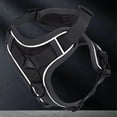 Adjustable Cat Harness and Leash Set Escape Proof Vest Breathable Mesh ...