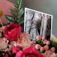 3drose, Image of Several Twisted Limbs Form Abstract, 6 Greeting Cards ...