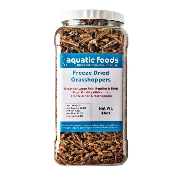 Grasshoppers - Freeze Dried Grasshoppers for Tropical Fish, Reptiles ...