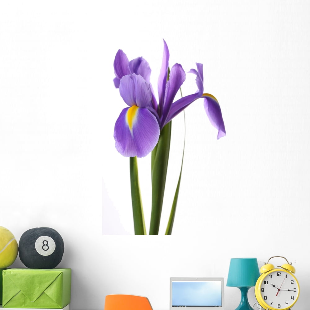 Purple Iris Wall Decal by Wallmonkeys Peel and Stick Graphic (48 in H x ...